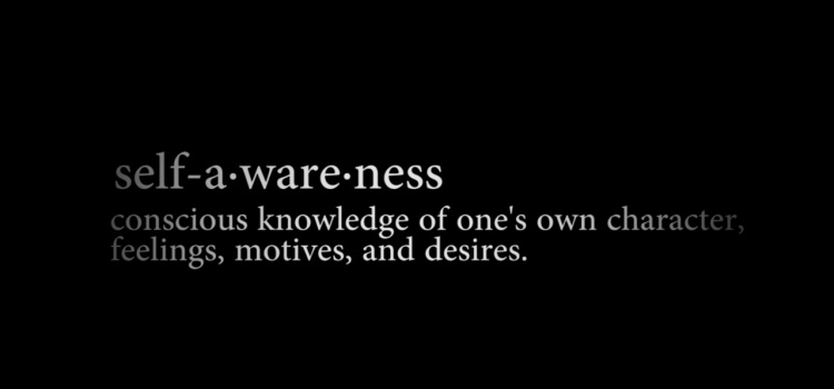 Self Reflexive Awareness: introduction - Leon Bahrman Ministries