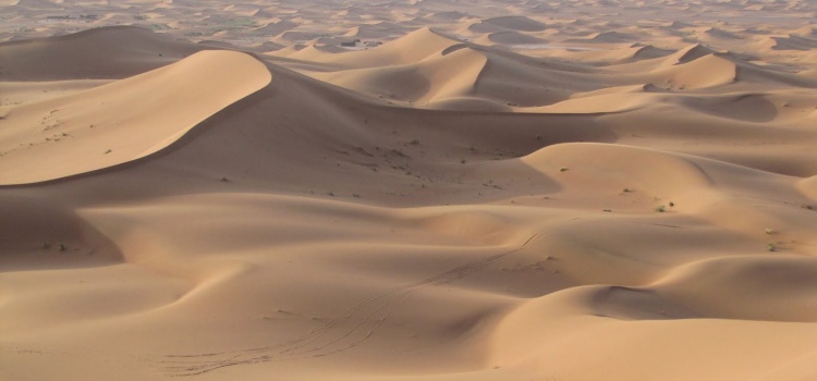 Lesson 2. Cosmos as Illusion - Leon Bahrman Ministries